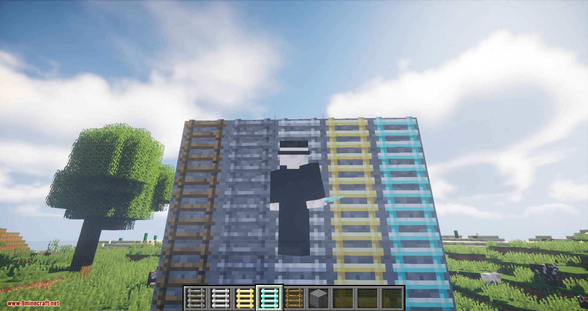 Speedy Ladders [1.18.2] [1.17.1] [1.16.5] [1.15.2] [1.14.4] [1.12.2 ...