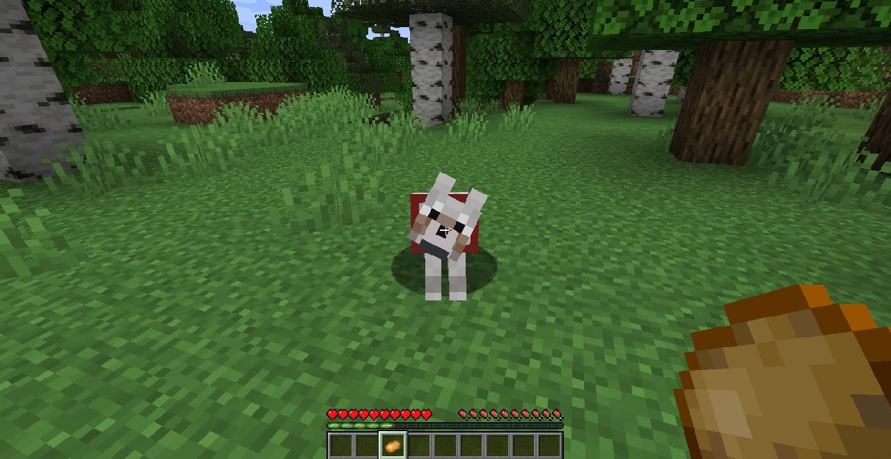 Enchanted Wolves [1.20.1] [1.18.2] [1.17.1] [1.16.5] / Моды на ...