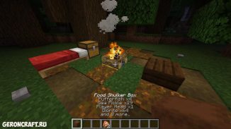 Held Item Info [1.21.11] [1.20.6] [1.19.4] [1.18.2] [1.17.1] [1.16.5 ...