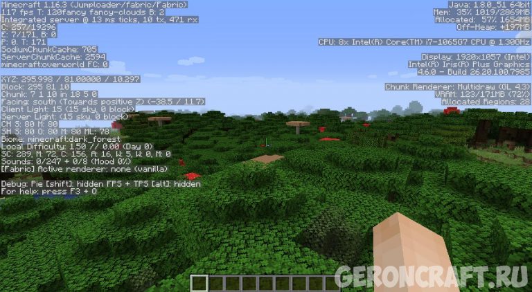 Fabulously Optimized [1.21.10] [1.20.6] [1.19.4] [1.18.2] [1.17.1] [1. ...