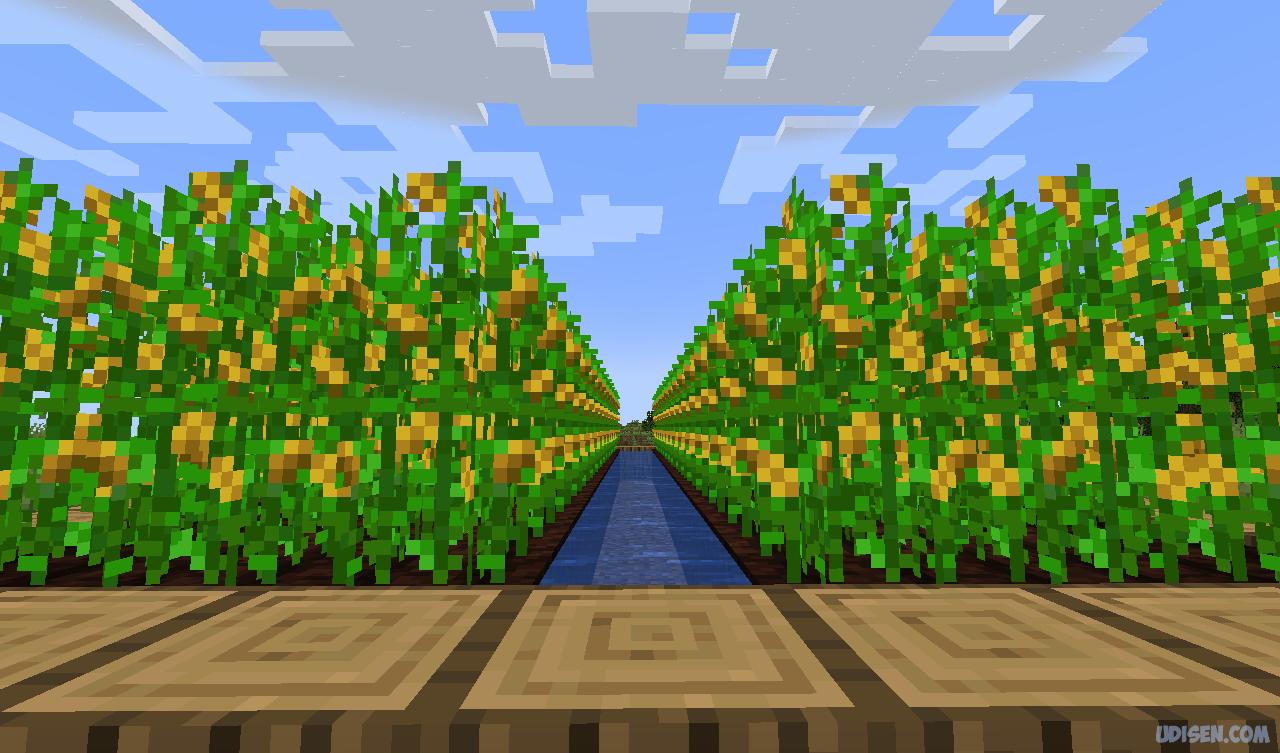 Corn Delight [1.19.4] / client-server-mods / Geroncraft